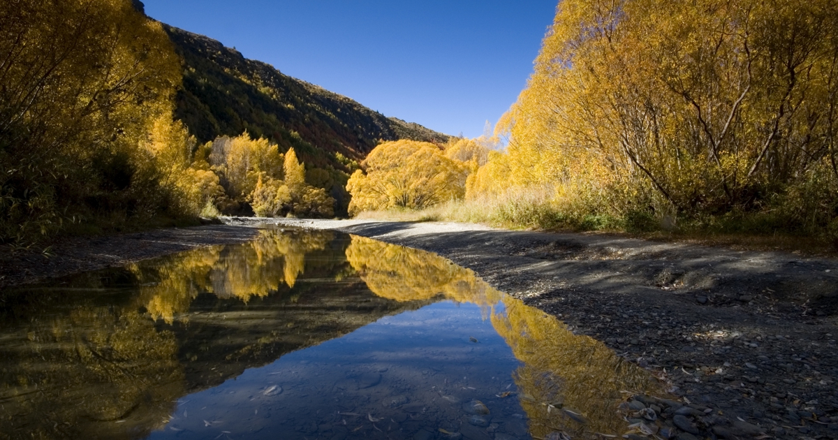 5 best half-day heritage walks for autumn | Tohu Whenua